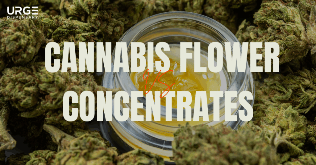 Cannabis Flower vs. Concentrates: What’s the Difference? - Urge NJ ...